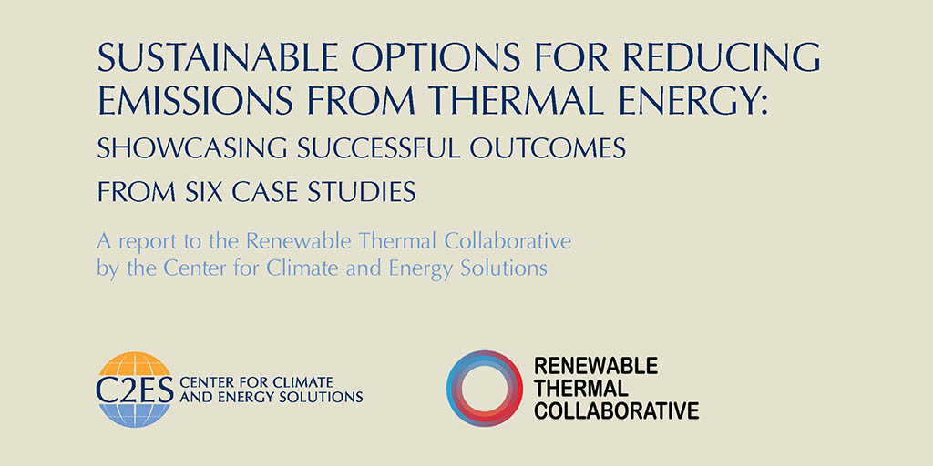 Sustainable Options for Reducing Emissions from Thermal Energy ...